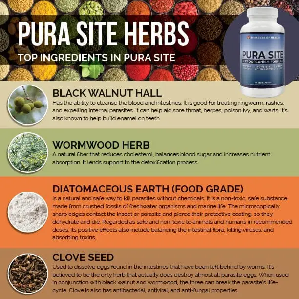 Pura Site | Microbiome Cleanse Capsules | Microorganism Formula for ...