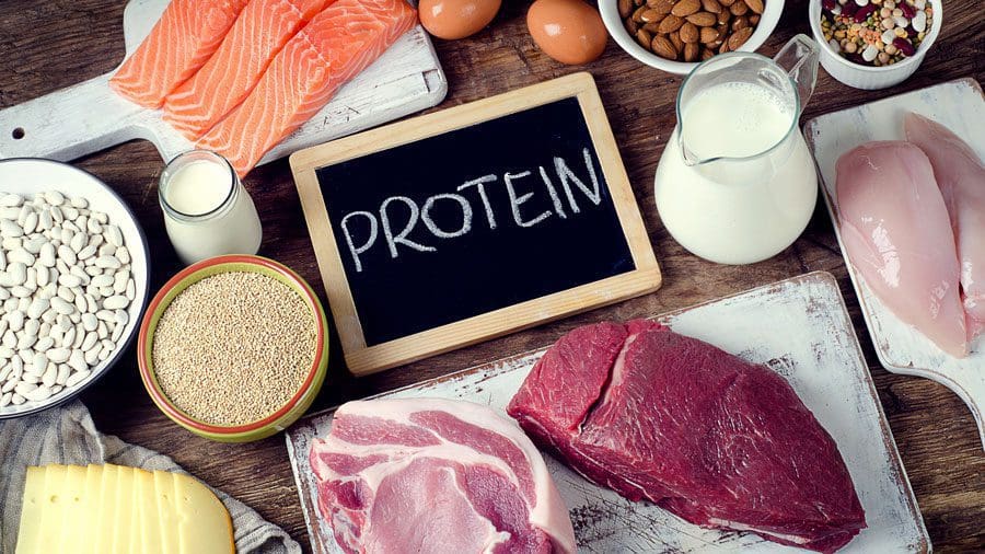 5 Reasons to Add More Protein to your Diet | Miracles of Health